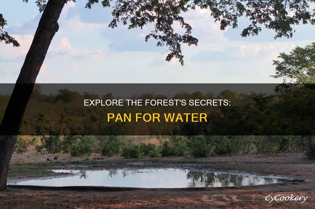 Explore The Forest's Secrets: Pan For Water | CyCookery