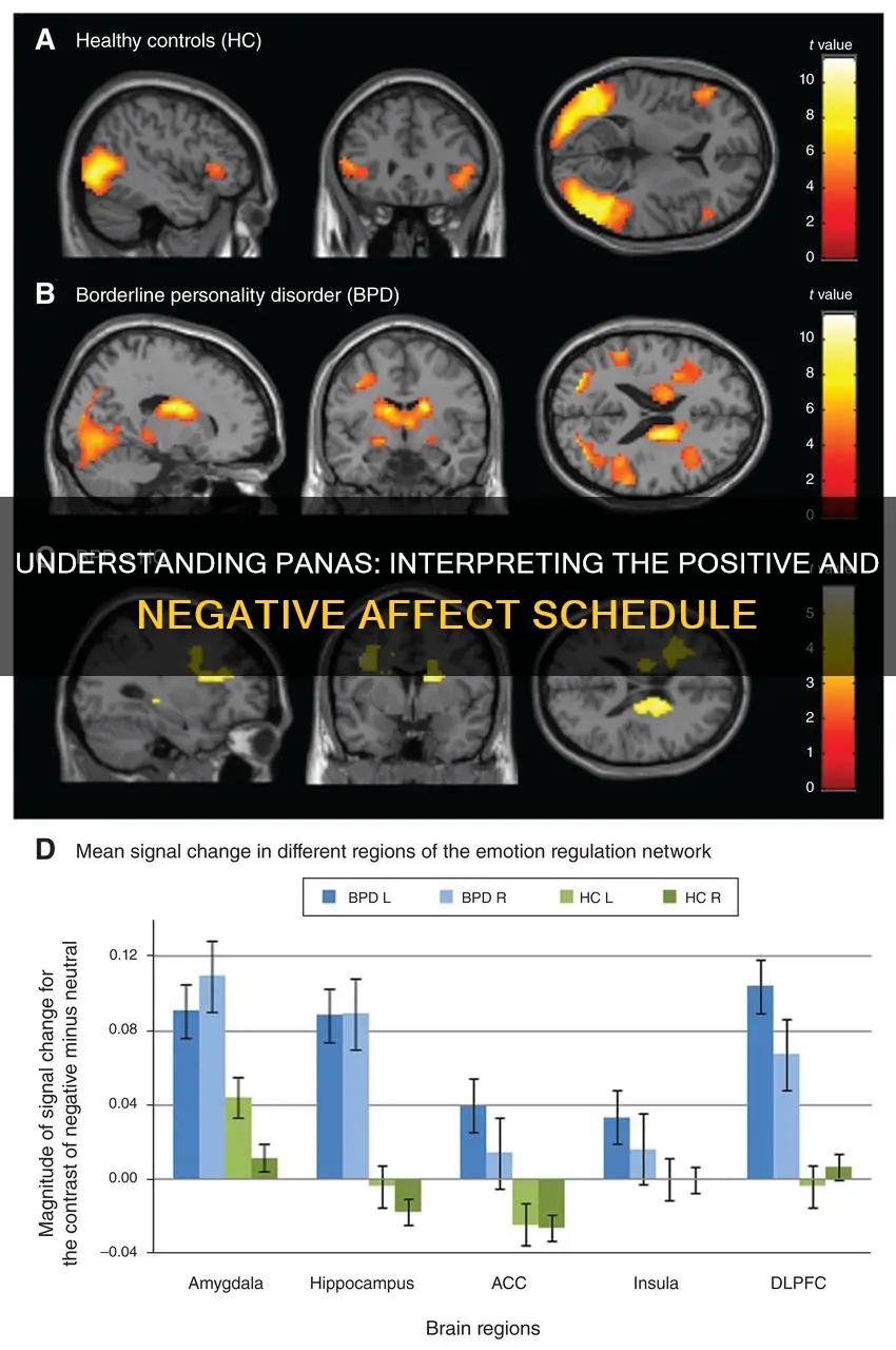 Understanding Panas: Interpreting The Positive And Negative Affect ...