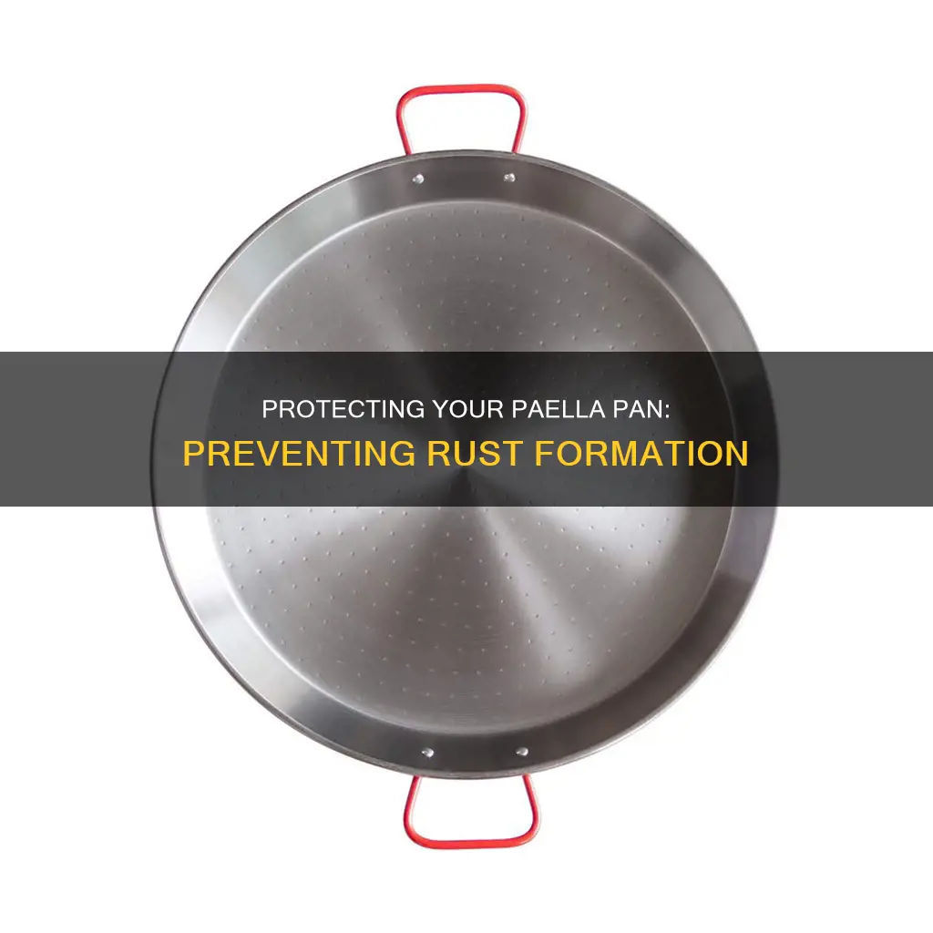 Protecting Your Paella Pan: Preventing Rust Formation | CyCookery