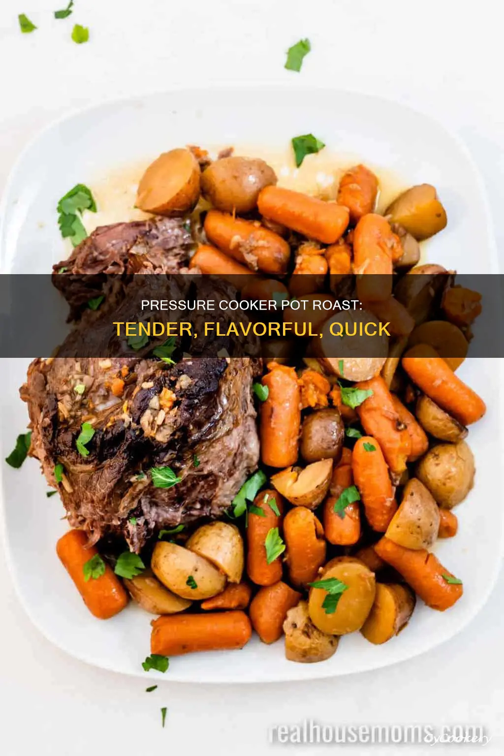 Pressure Cooker Pot Roast: Tender, Flavorful, Quick | CyCookery