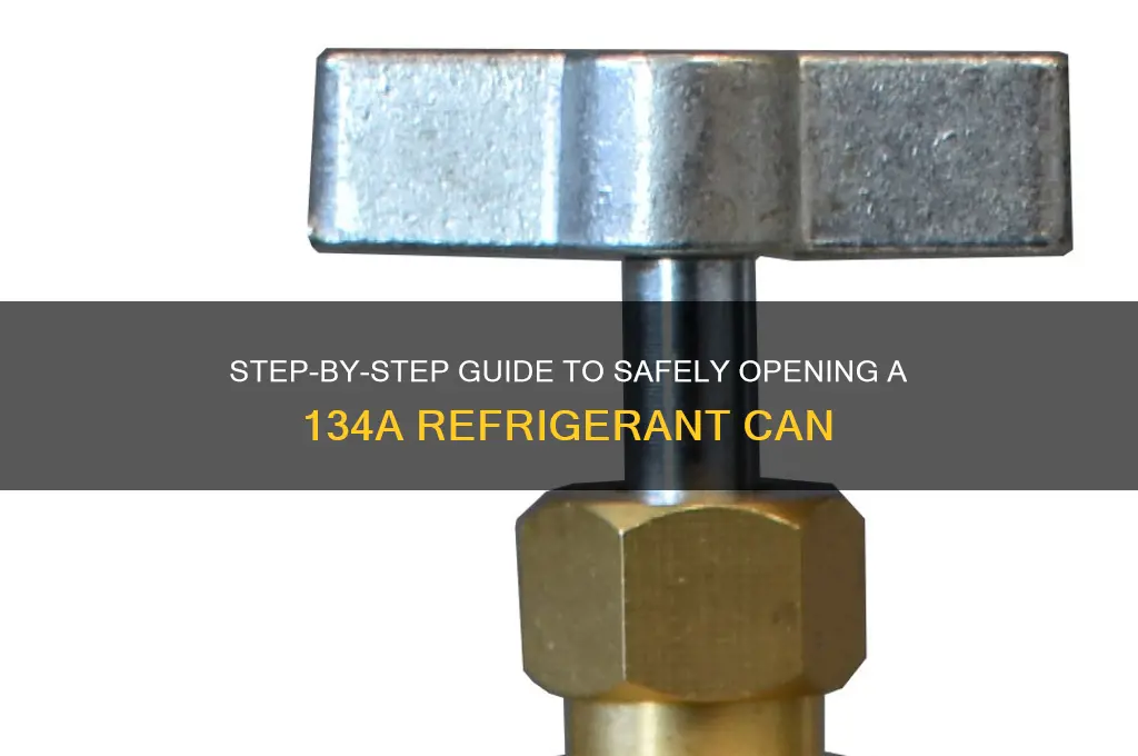 Step-By-Step Guide To Safely Opening A 134A Refrigerant Can | CyCookery