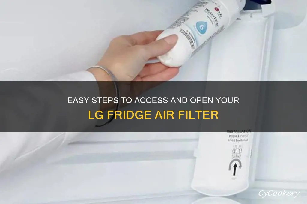 Easy Steps To Access And Open Your Lg Fridge Air Filter | CyCookery
