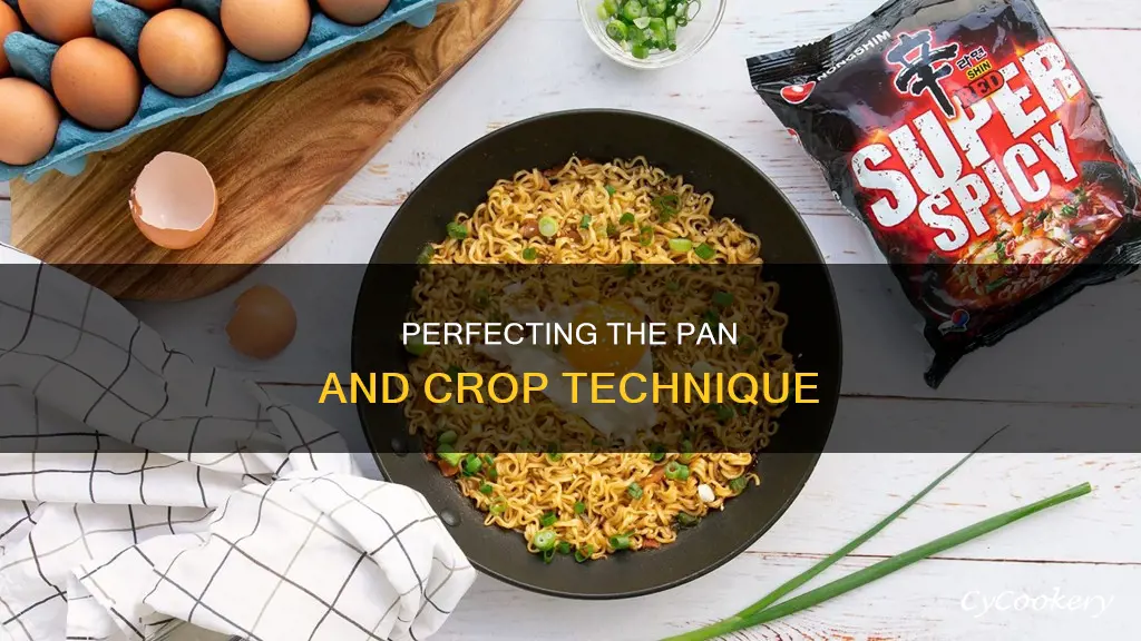 Perfecting The Pan And Crop Technique | CyCookery