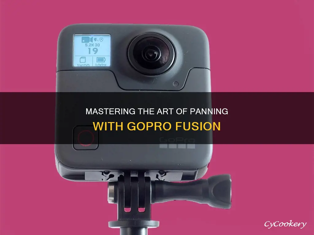 Mastering The Art Of Panning With Gopro Fusion | CyCookery