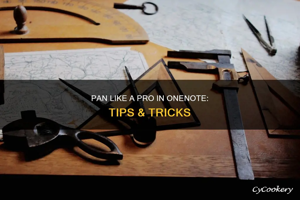 Pan Like A Pro In Onenote: Tips & Tricks | CyCookery