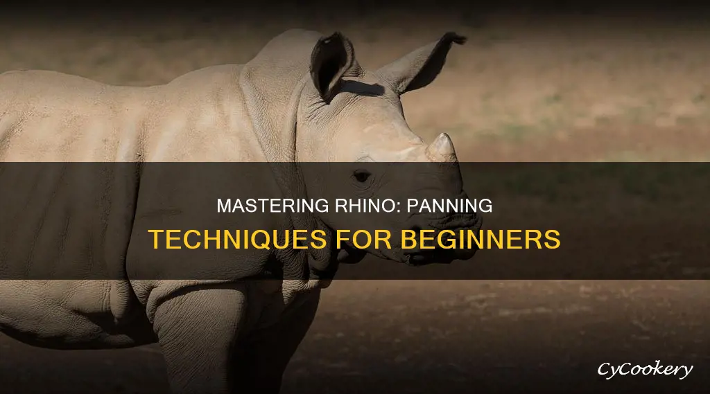 Mastering Rhino: Panning Techniques For Beginners | CyCookery