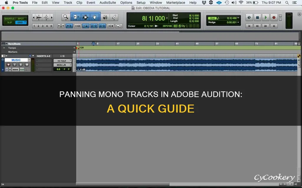 Panning Mono Tracks In Adobe Audition: A Quick Guide | CyCookery