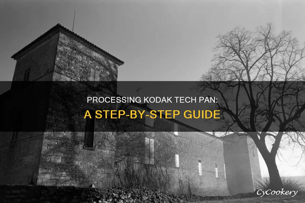 Processing Kodak Tech Pan: A Step-By-Step Guide | CyCookery