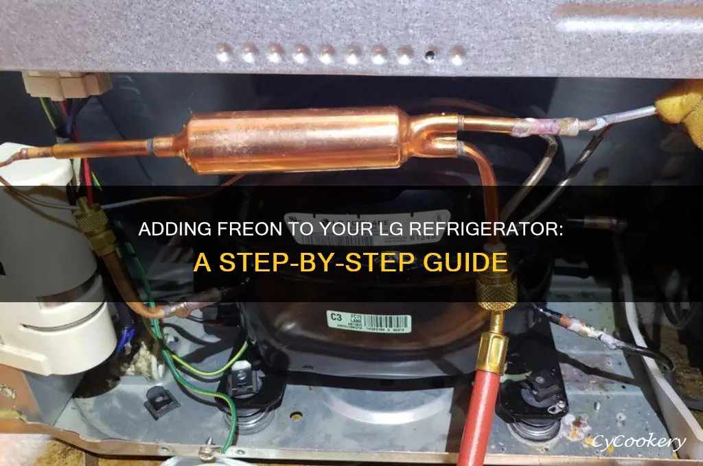 Adding Freon To Your Lg Refrigerator: A Step-By-Step Guide | CyCookery