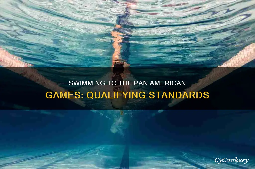 Swimming To The Pan American Games: Qualifying Standards | CyCookery
