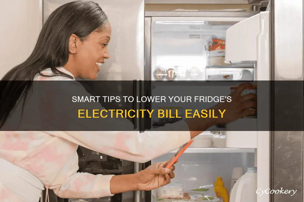 Smart Tips To Lower Your Fridge's Electricity Bill Easily | CyCookery