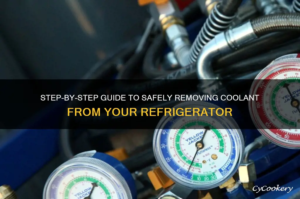 Step-By-Step Guide To Safely Removing Coolant From Your Refrigerator ...