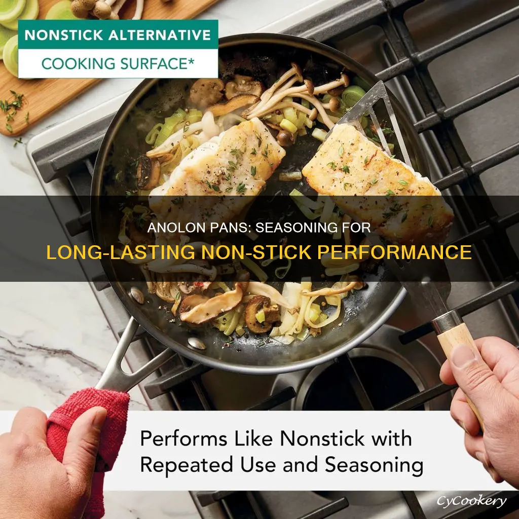 Anolon Pans: Seasoning For Long-Lasting Non-Stick Performance | CyCookery