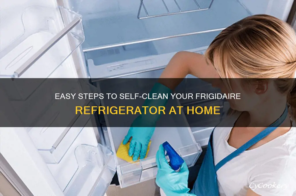 Easy Steps To Self-Clean Your Frigidaire Refrigerator At Home | CyCookery