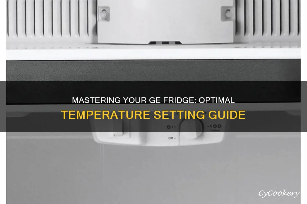 Mastering Your Ge Fridge: Optimal Temperature Setting Guide | CyCookery