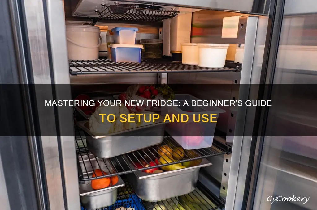 Mastering Your New Fridge: A Beginner’S Guide To Setup And Use | CyCookery