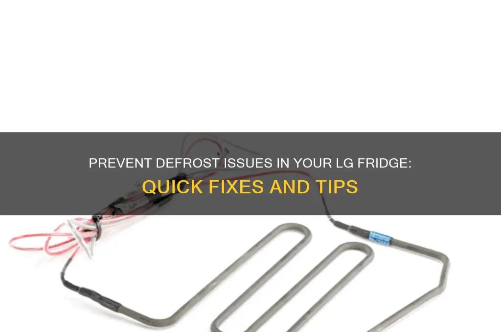 Prevent Defrost Issues In Your Lg Fridge: Quick Fixes And Tips | CyCookery