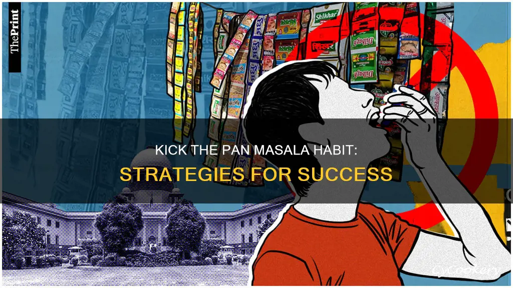 Kick The Pan Masala Habit: Strategies For Success | CyCookery