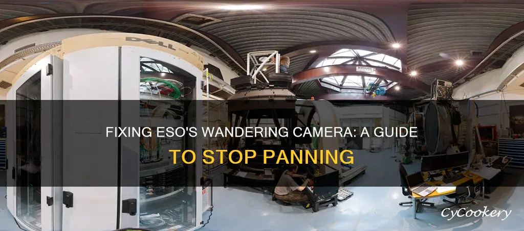 Fixing Eso's Wandering Camera: A Guide To Stop Panning | CyCookery