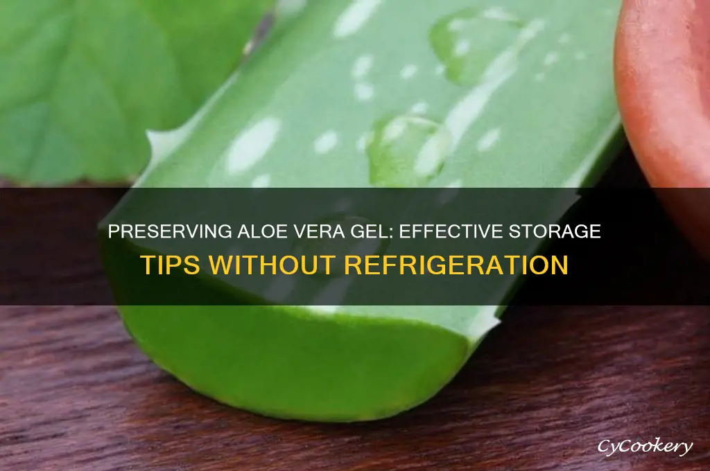 Preserving Aloe Vera Gel: Effective Storage Tips Without Refrigeration ...