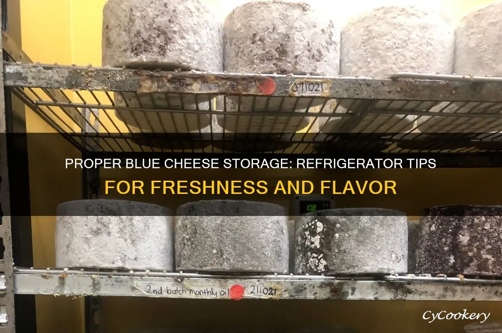 Proper Blue Cheese Storage: Refrigerator Tips For Freshness And Flavor ...