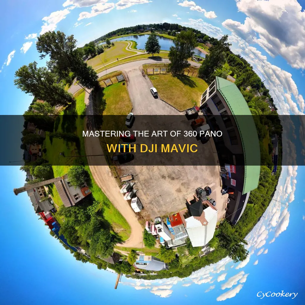 Mastering The Art Of 360 Pano With Dji Mavic | CyCookery