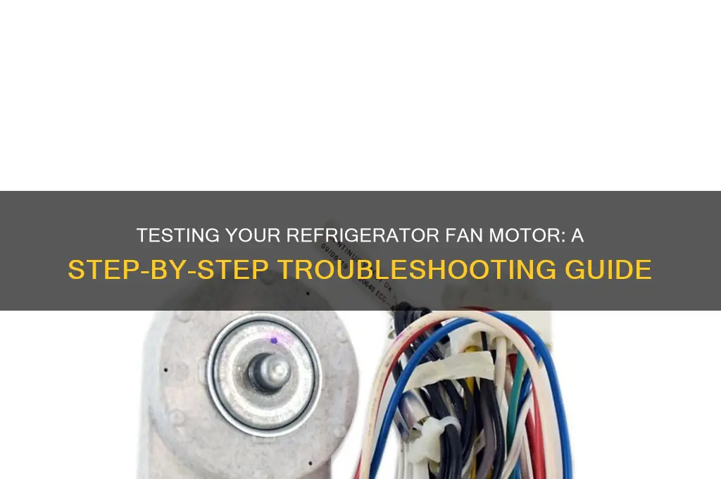 Testing Your Refrigerator Fan Motor: A Step-By-Step Troubleshooting ...