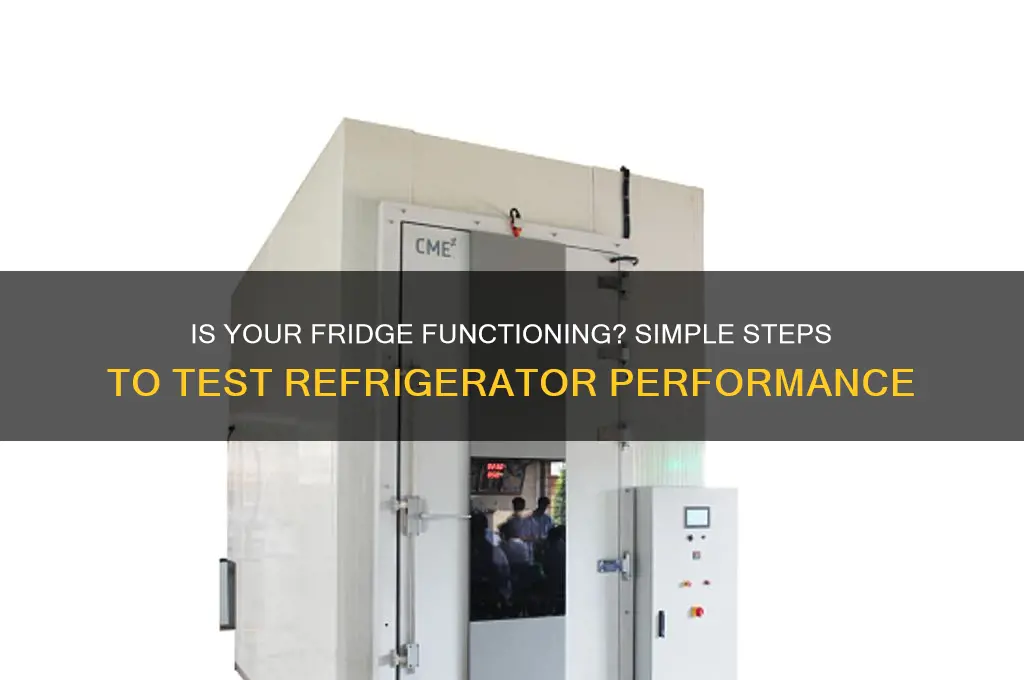 Is Your Fridge Functioning? Simple Steps To Test Refrigerator ...