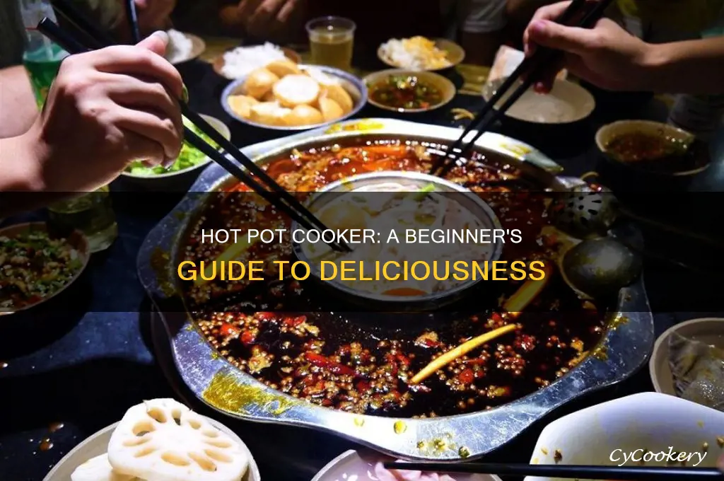 Hot Pot Cooker: A Beginner's Guide To Deliciousness | CyCookery
