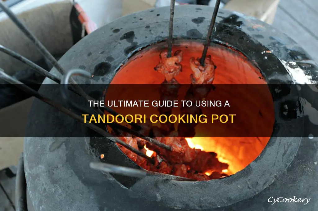 The Ultimate Guide To Using A Tandoori Cooking Pot | CyCookery