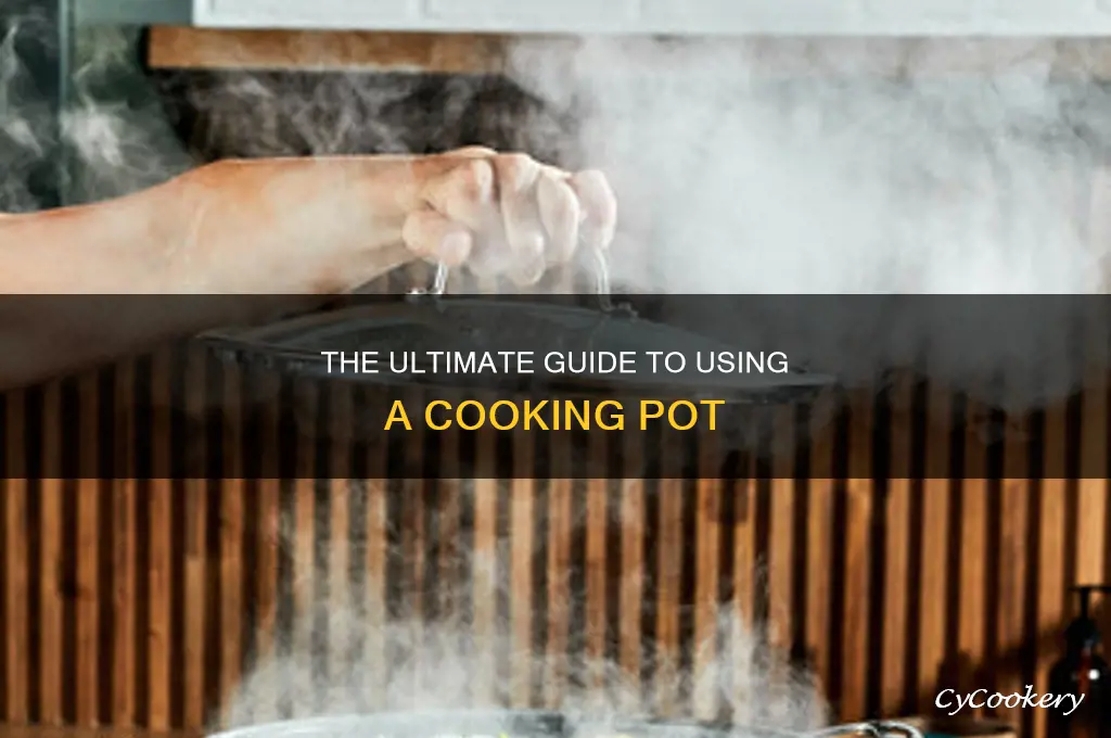 The Ultimate Guide To Using A Cooking Pot | CyCookery