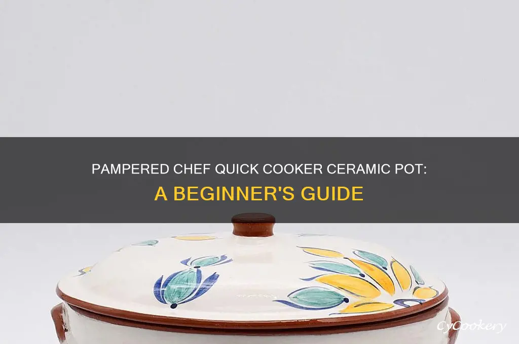 Pampered Chef Quick Cooker Ceramic Pot: A Beginner's Guide | CyCookery
