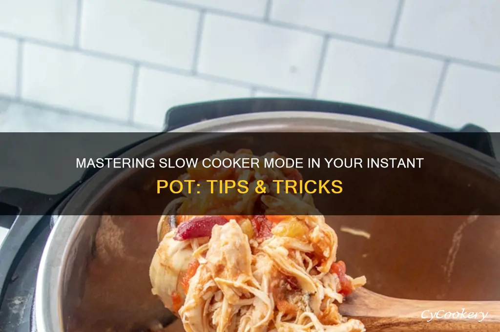 Mastering Slow Cooker Mode In Your Instant Pot: Tips & Tricks | CyCookery