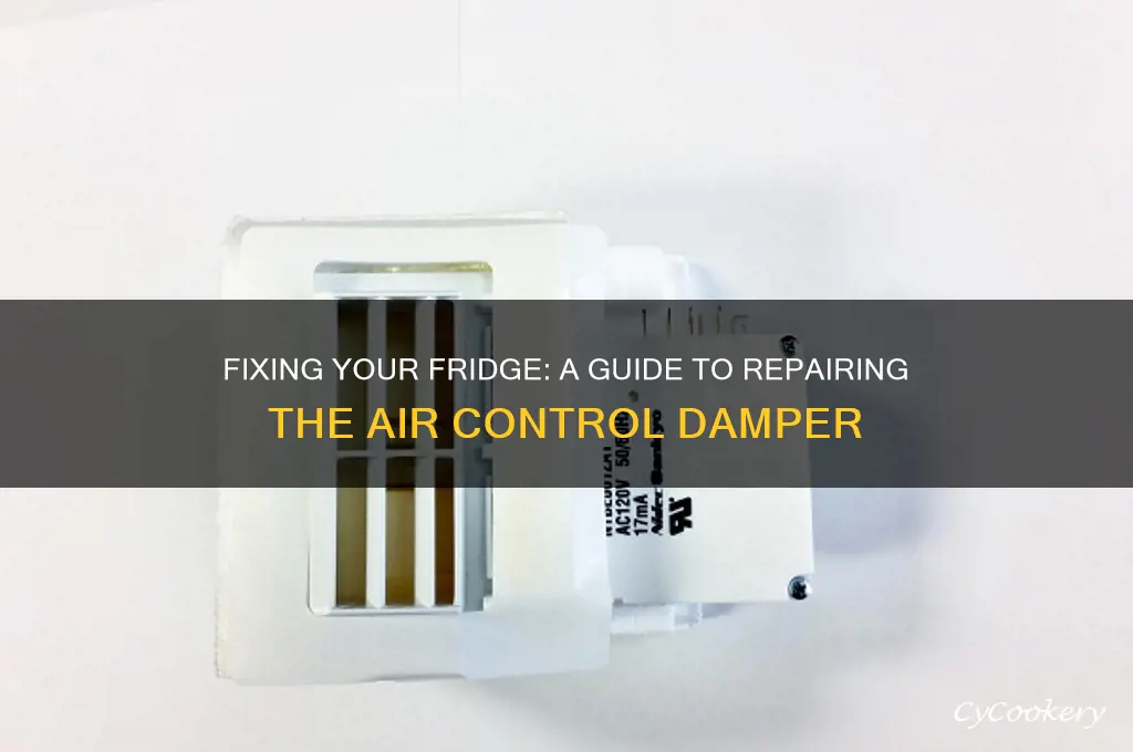 Fixing Your Fridge: A Guide To Repairing The Air Control Damper | CyCookery