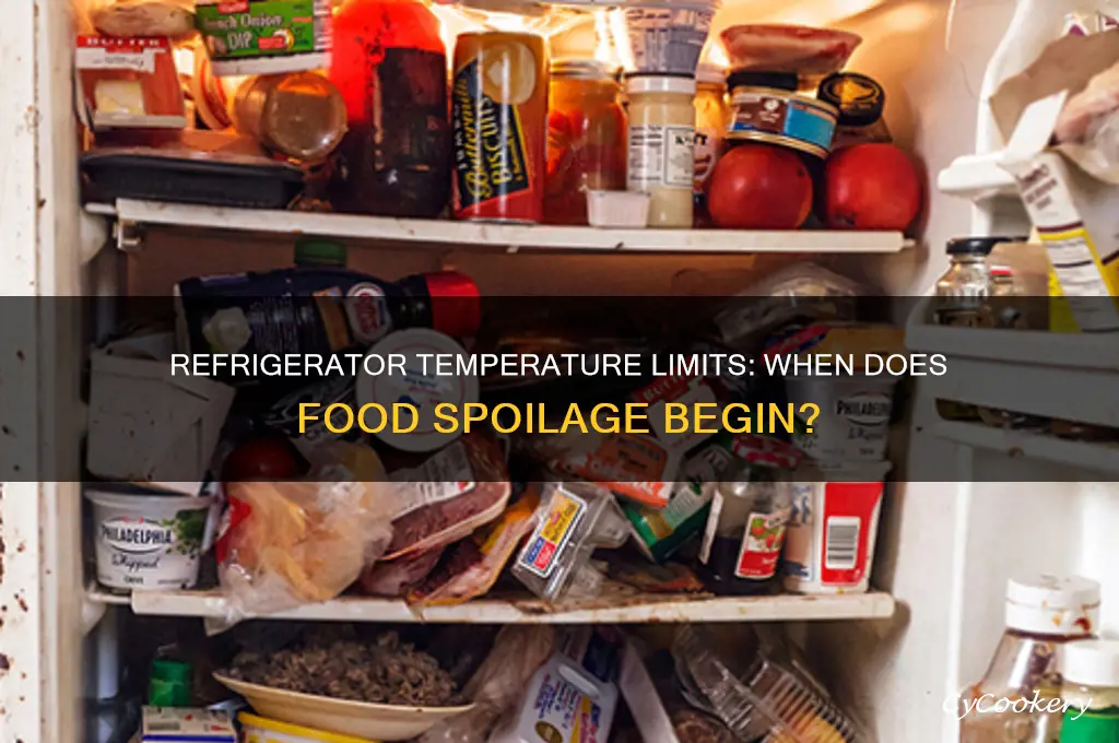 Refrigerator Temperature Limits: When Does Food Spoilage Begin? | CyCookery