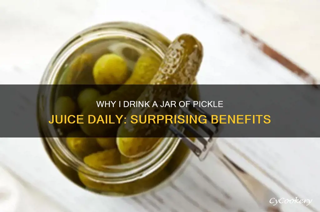 Why I Drink A Jar Of Pickle Juice Daily: Surprising Benefits | CyCookery