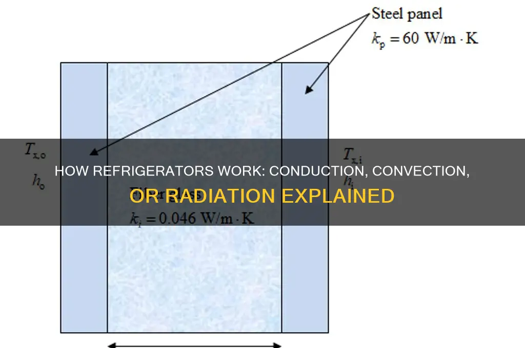 How Refrigerators Work: Conduction, Convection, Or Radiation Explained ...