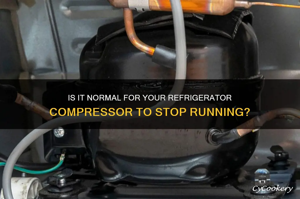 Is It Normal For Your Refrigerator Compressor To Stop Running? | CyCookery