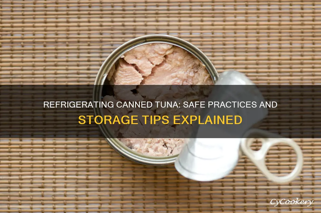 Refrigerating Canned Tuna: Safe Practices And Storage Tips Explained ...