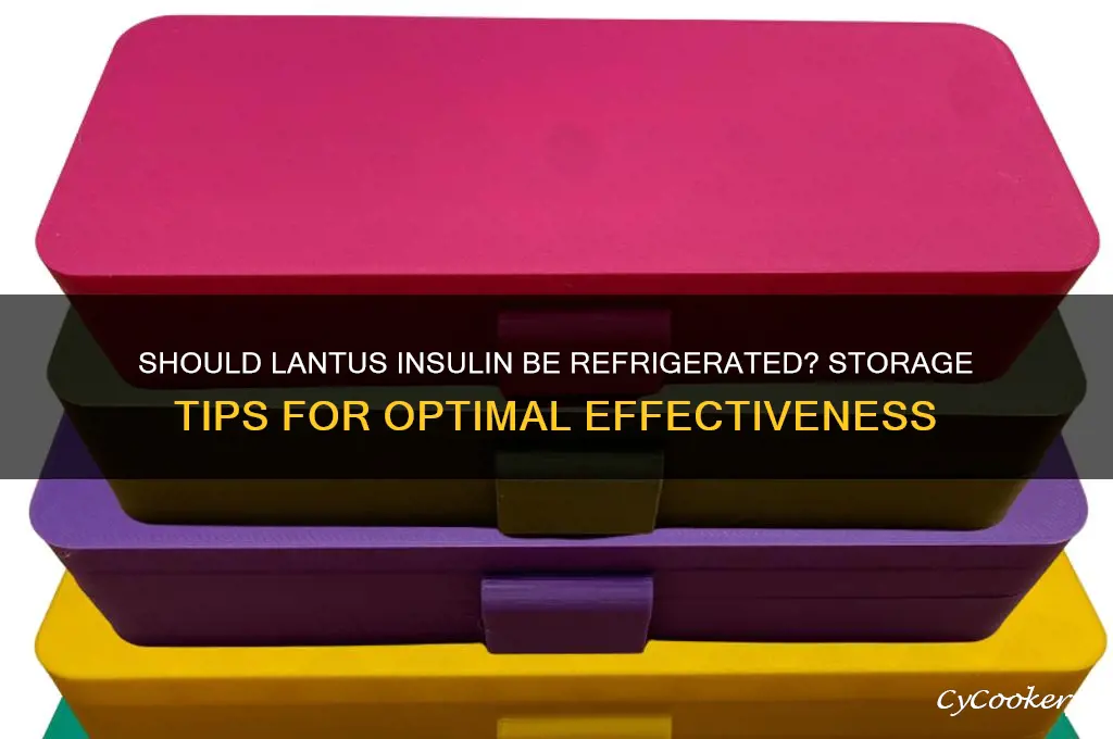 Should Lantus Insulin Be Refrigerated? Storage Tips For Optimal ...