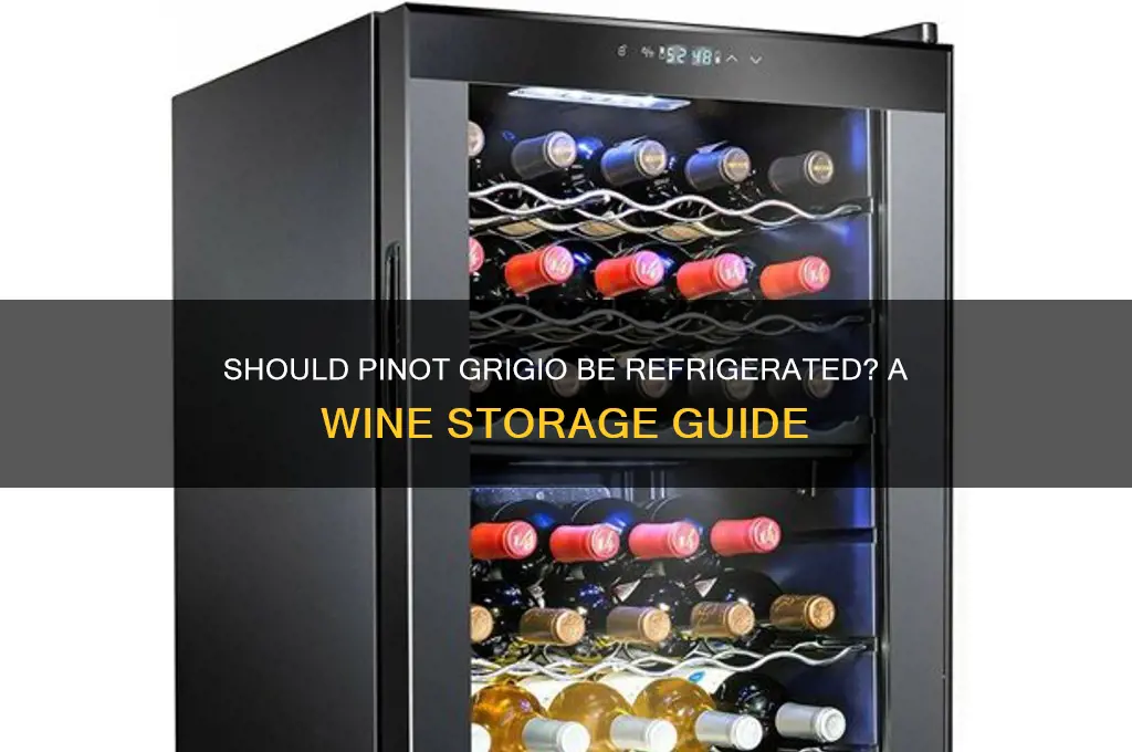 Do You Refrigerate Pinot Grigio