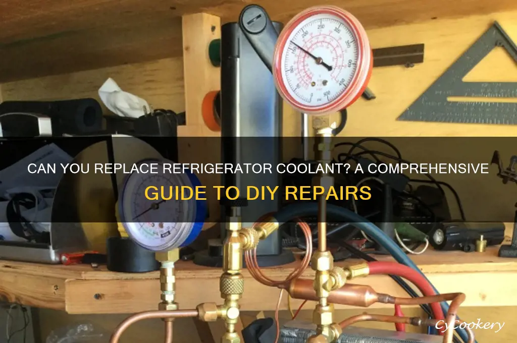 Can You Replace Refrigerator Coolant? A Comprehensive Guide To Diy ...