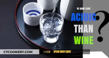 Mastering The Art Of Serving Sake: A Complete Guide | CyCookery