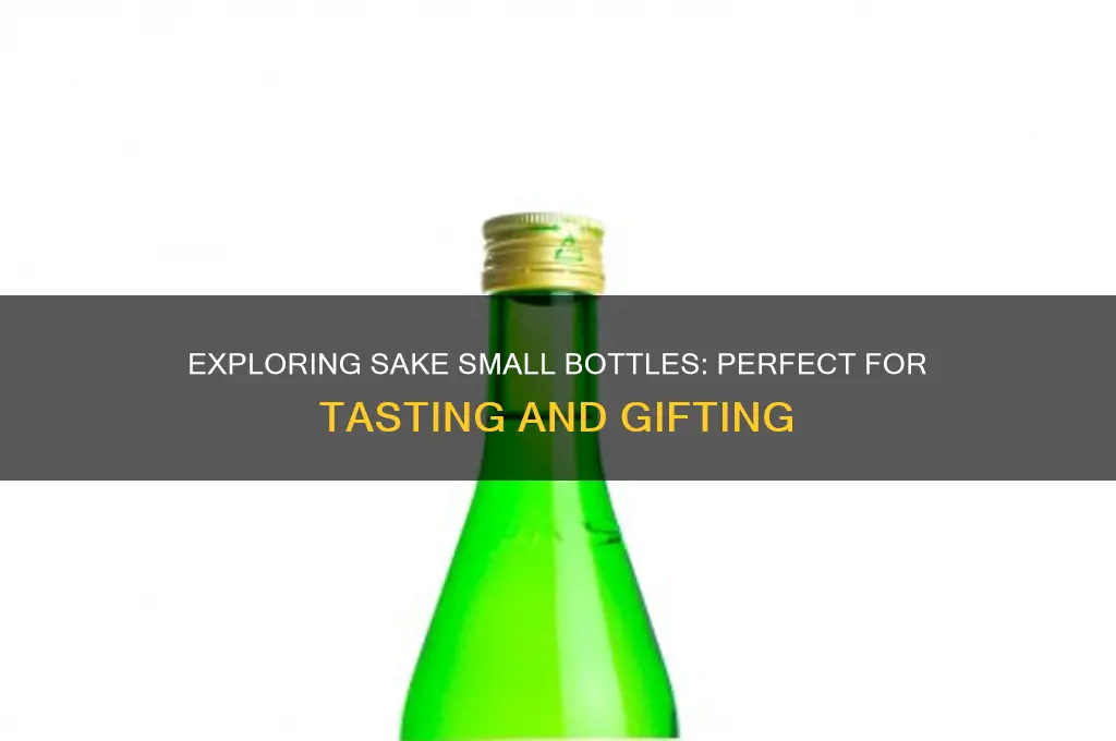 Exploring Sake Small Bottles: Perfect For Tasting And Gifting | CyCookery