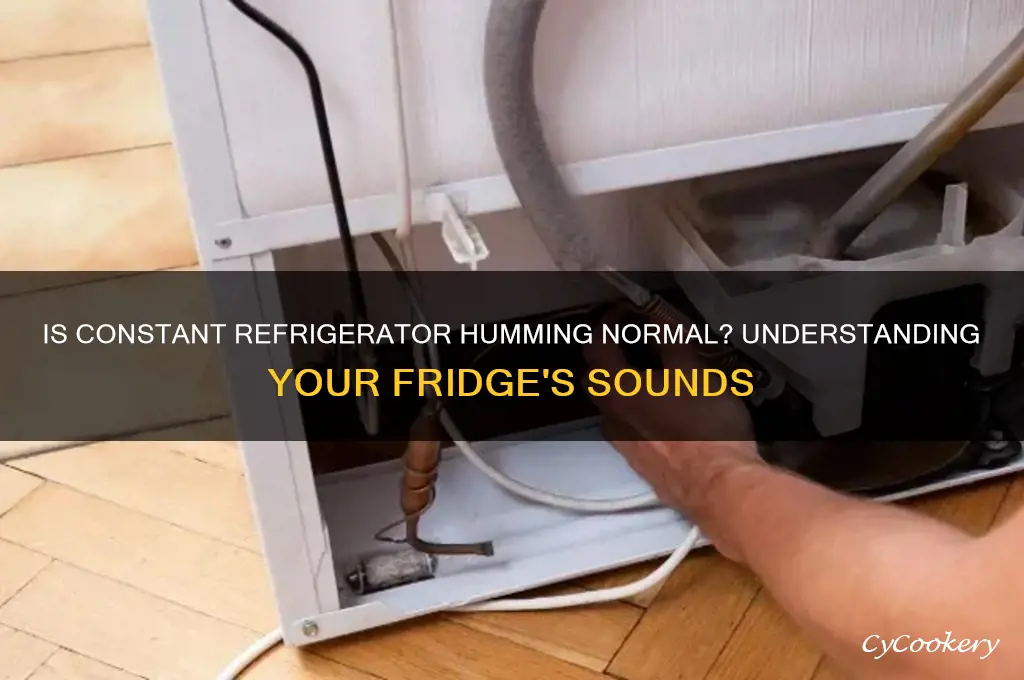 Is Constant Refrigerator Humming Normal? Understanding Your Fridge's ...