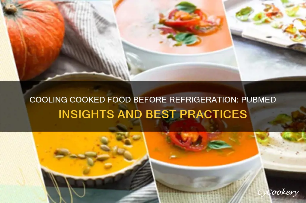 Cooling Cooked Food Before Refrigeration: Pubmed Insights And Best ...