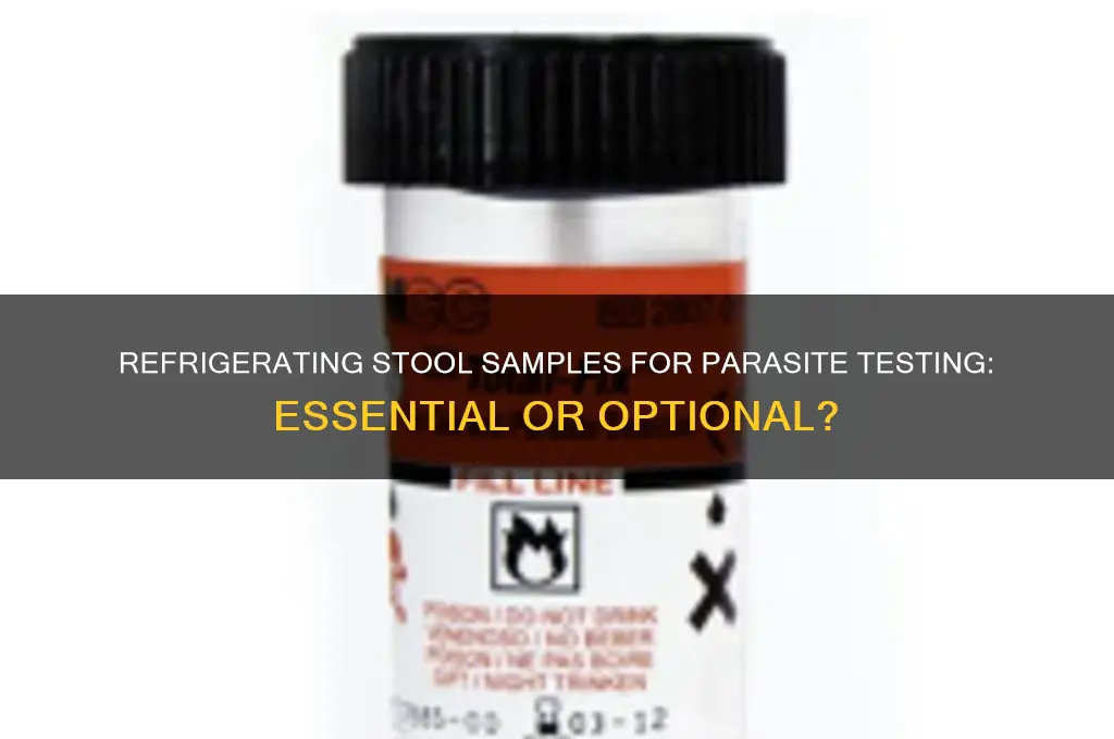 Refrigerating Stool Samples For Parasite Testing: Essential Or Optional ...