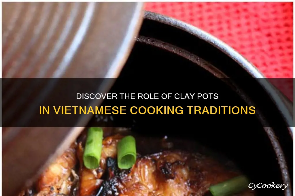 Discover The Role Of Clay Pots In Vietnamese Cooking Traditions | CyCookery