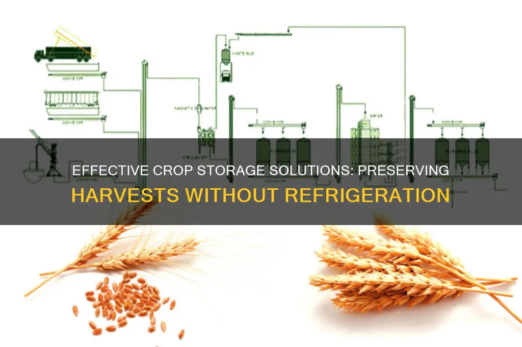 Effective Crop Storage Solutions: Preserving Harvests Without ...