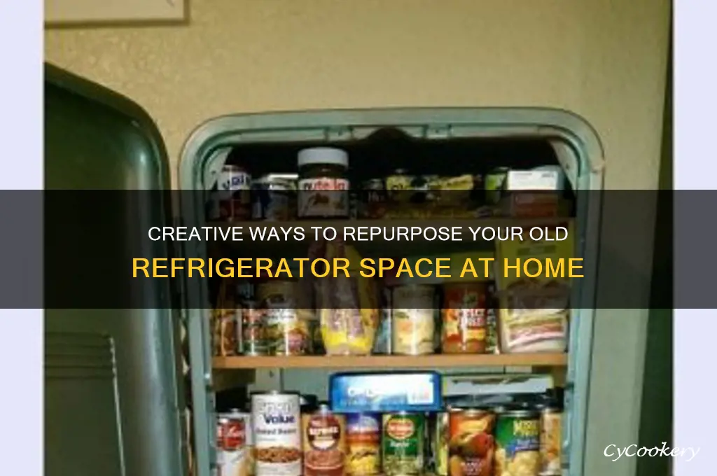 Creative Ways To Repurpose Your Old Refrigerator Space At Home | CyCookery